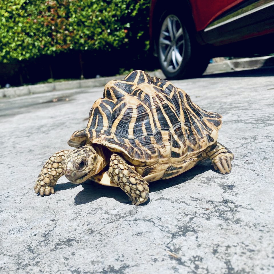 Palugada | SCALE UP CLUB